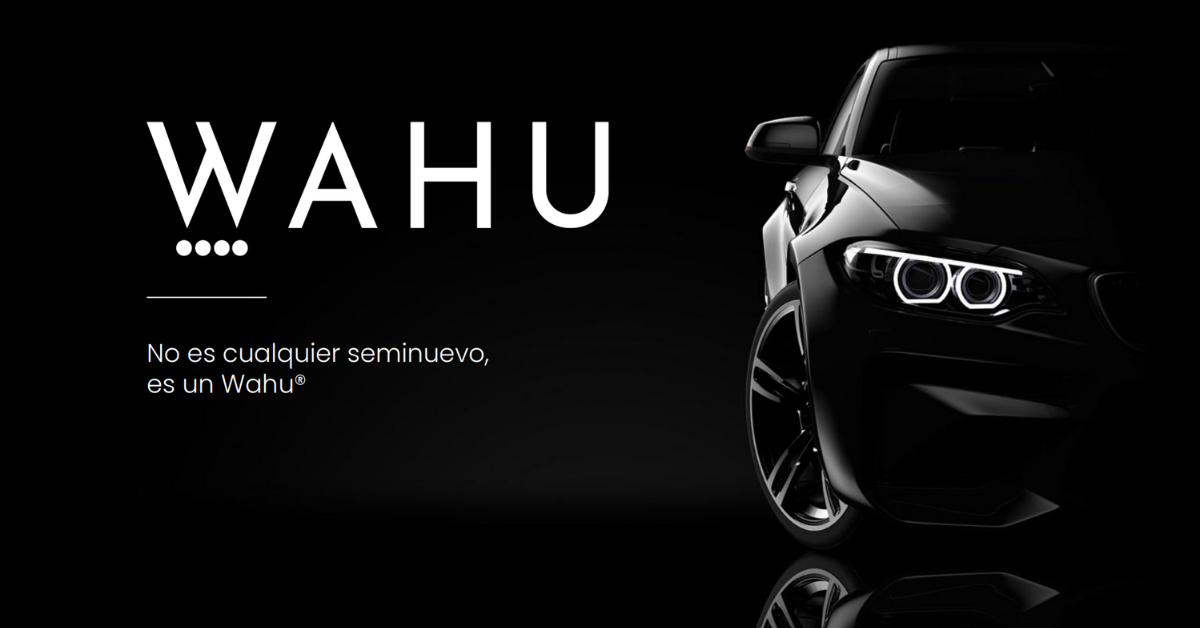 Inspección Técnica – Wahu México